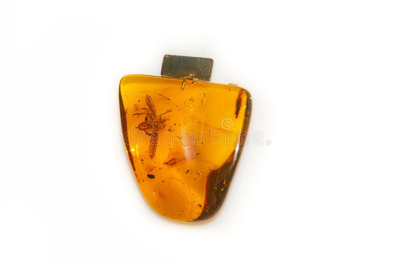 Piece of Original Amber from Mexico Stock Image - Image of ancient ...