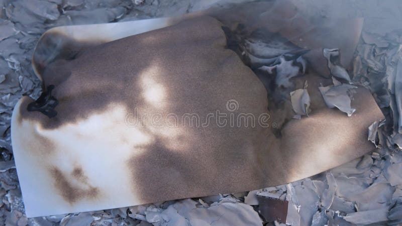 A Piece of Paper Smoldering and Smoking among the Ashes. the Concept of ...