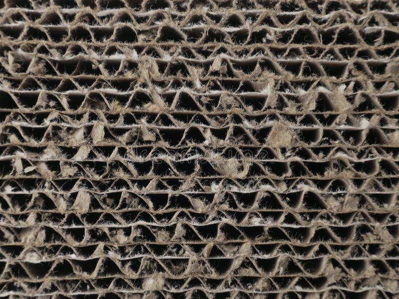 Piece of the Pattern of a Carton Package Part Stock Photo - Image of ...