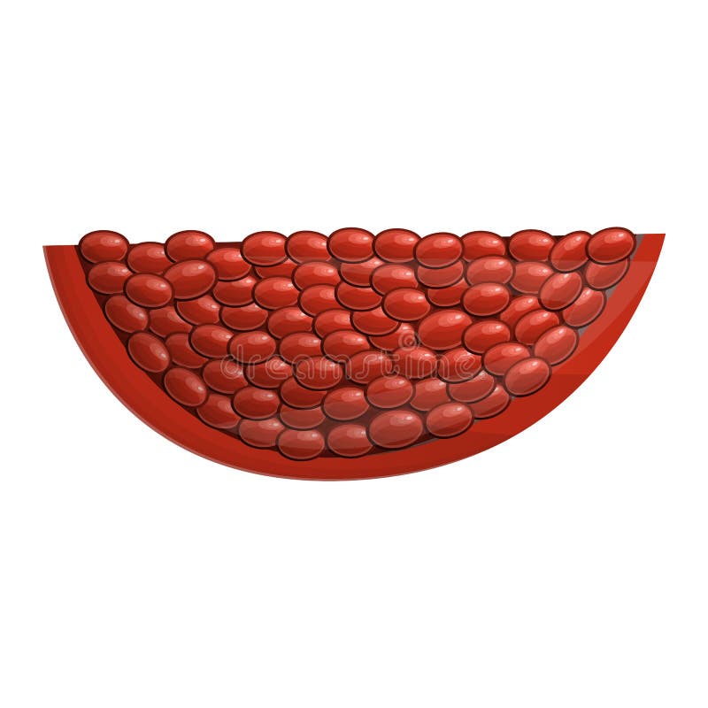 Cartoon Pomegranate Tree Stock Illustrations – 264 Cartoon Pomegranate ...