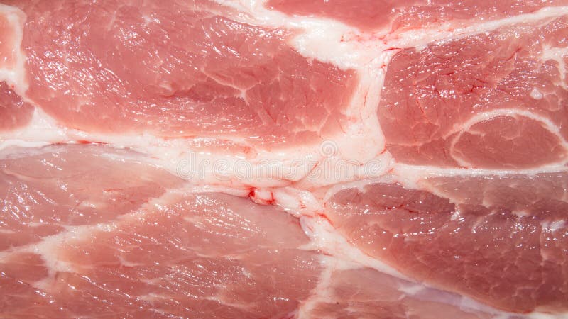 The texture of the pork. stock photo. Image of dinner - 129545904