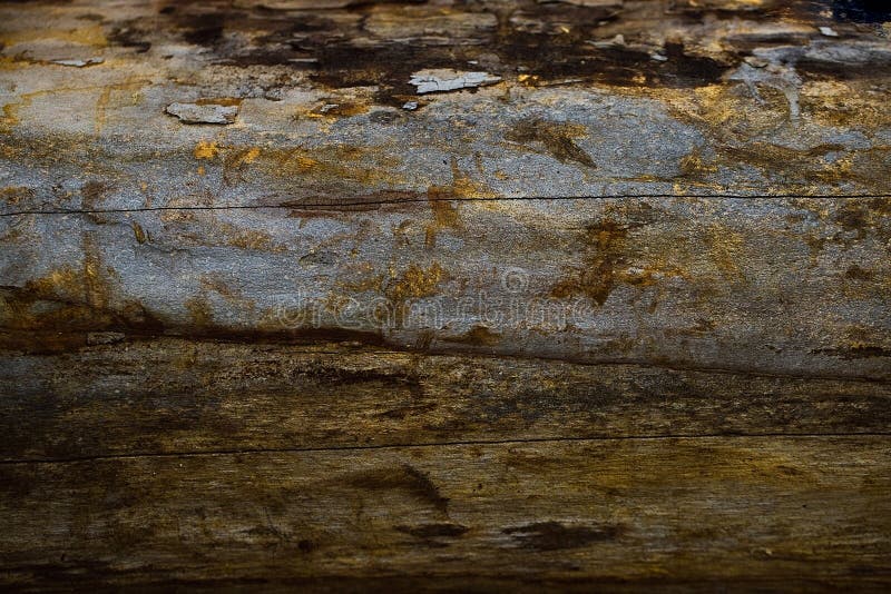 A Piece of Raw and Chopped Wood Stock Photo - Image of industry, table ...