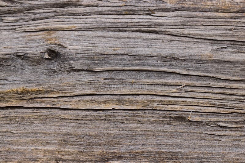 A Piece of Raw and Chopped Wood Stock Photo - Image of pile, lumber ...