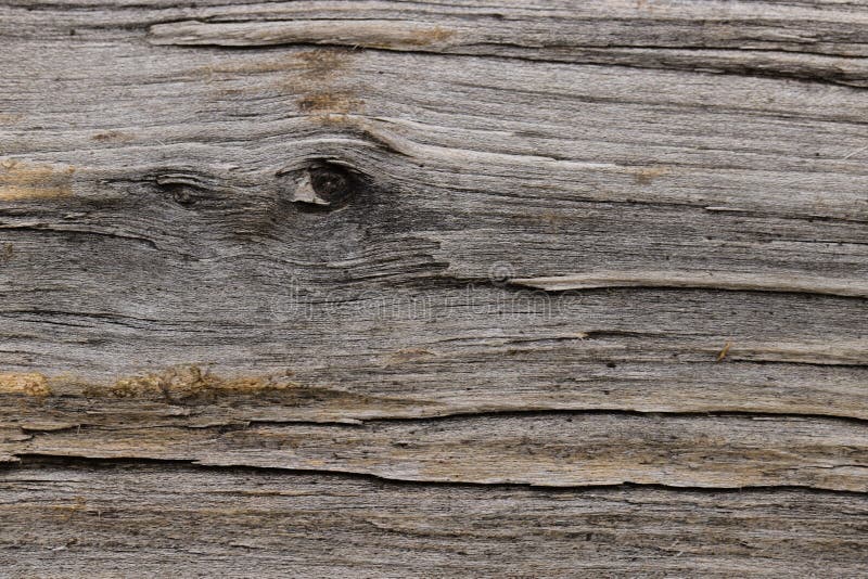 A Piece of Raw and Chopped Wood Stock Image - Image of brown, firewood ...