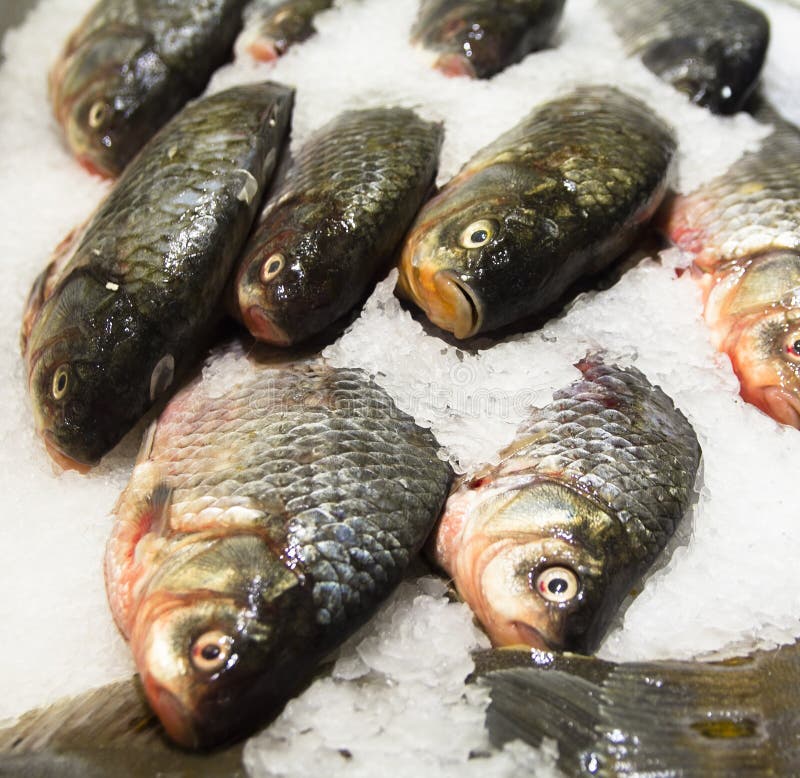 Piece of raw fish stock image. Image of congeal, morsel - 75084609