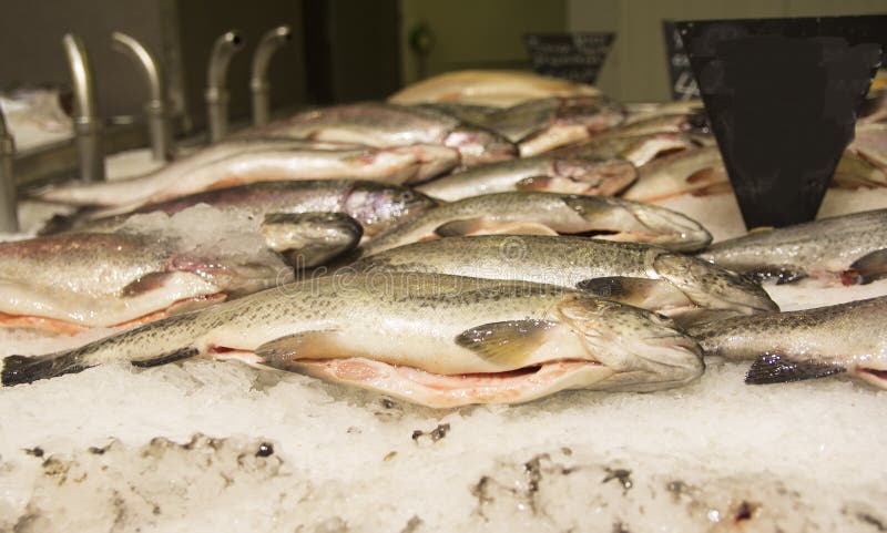 Piece of raw fish stock image. Image of piece, food, closeup - 75084657