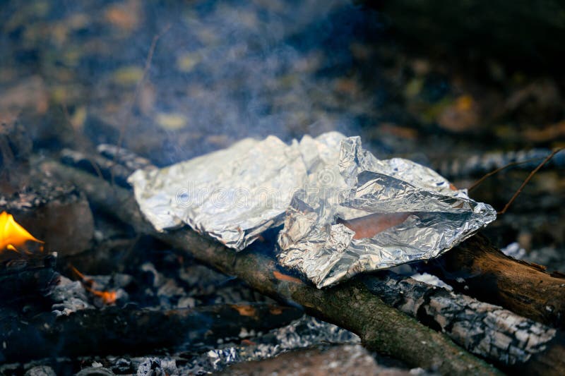 Cooking fish on a fire stock photo. Image of fire, real - 313132258