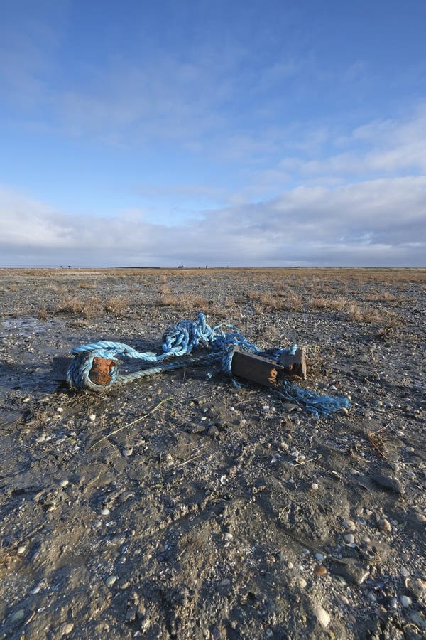 Old Rope Washed Up Onto Chilli Beach Stock Image - Image of ...
