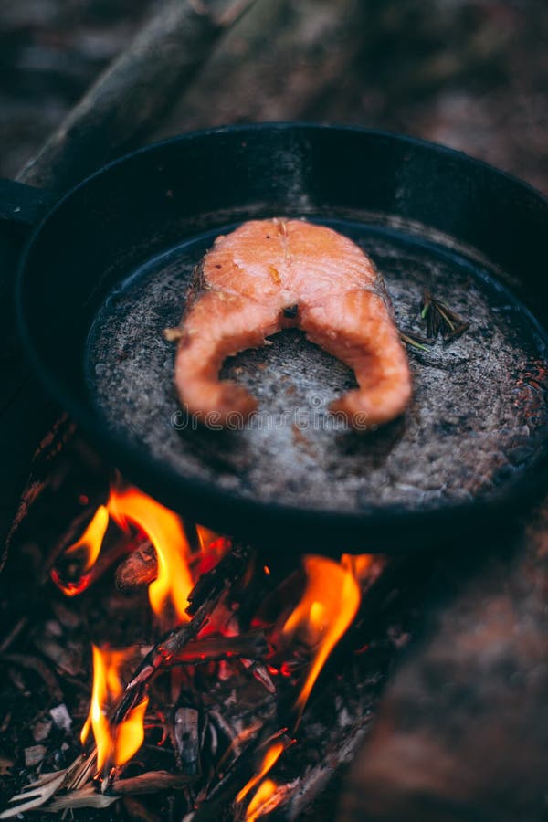 A Piece of Salmon in a Pan Over a Fire. Cooking in Nature Stock Image ...