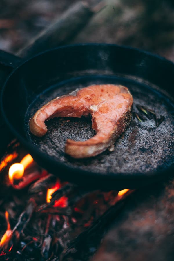 A Piece of Salmon in a Pan Over a Fire. Cooking in Nature Stock Image ...