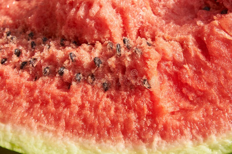 Smashed Watermelon Close Up on the Ground Stock Photo - Image of fallen ...