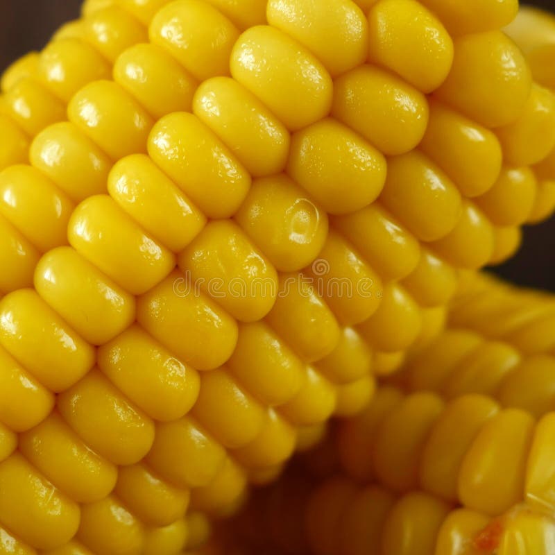 Piece of Sweet Corn and Seeds Closeup Stock Image - Image of heap ...