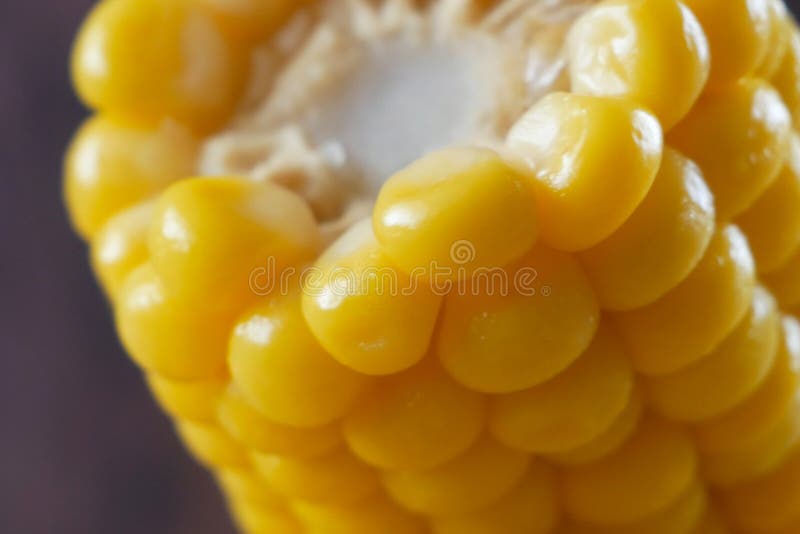 Piece of Sweet Corn and Seeds Closeup Stock Photo - Image of kernel ...