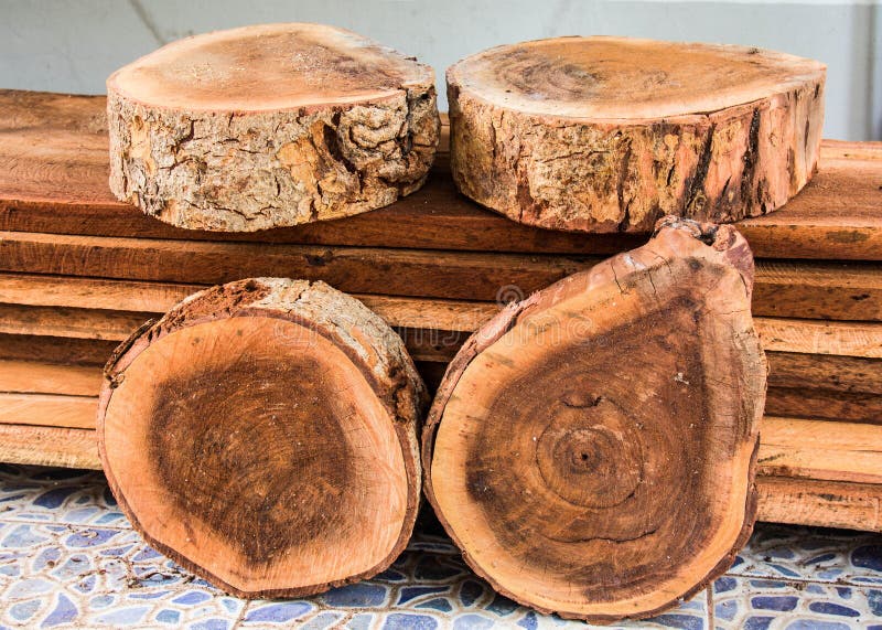 Piece of Timber Prepared for Construction Stock Image - Image of bark ...
