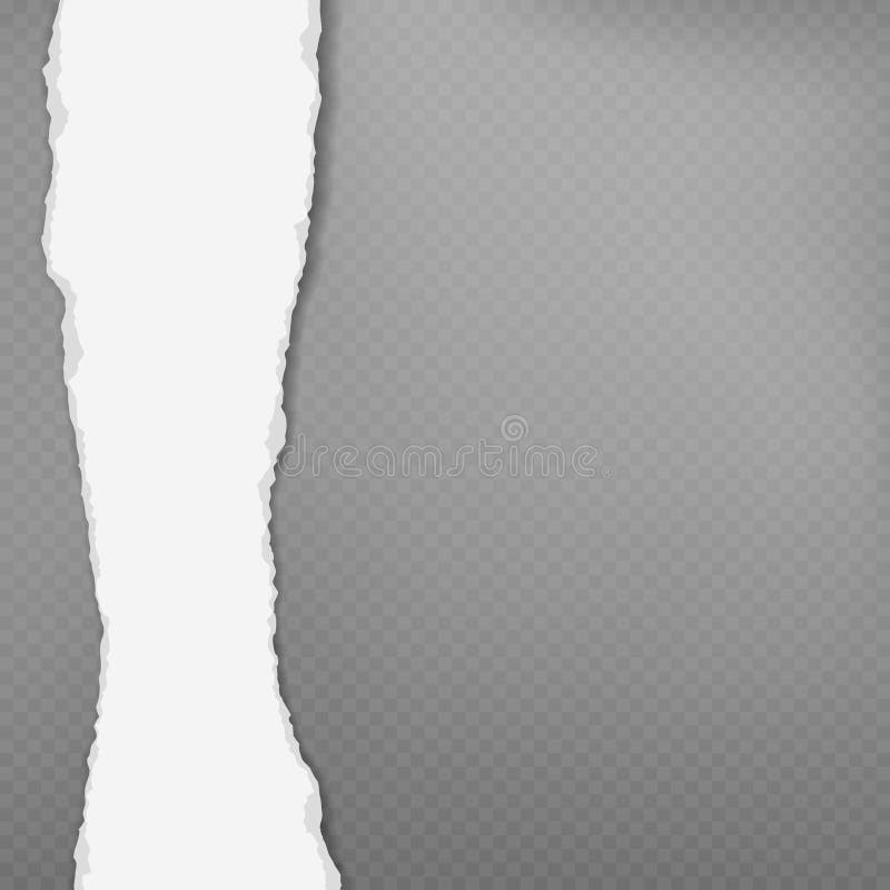 Paper Tear Vertical Stock Illustrations – 173 Paper Tear Vertical Stock ...