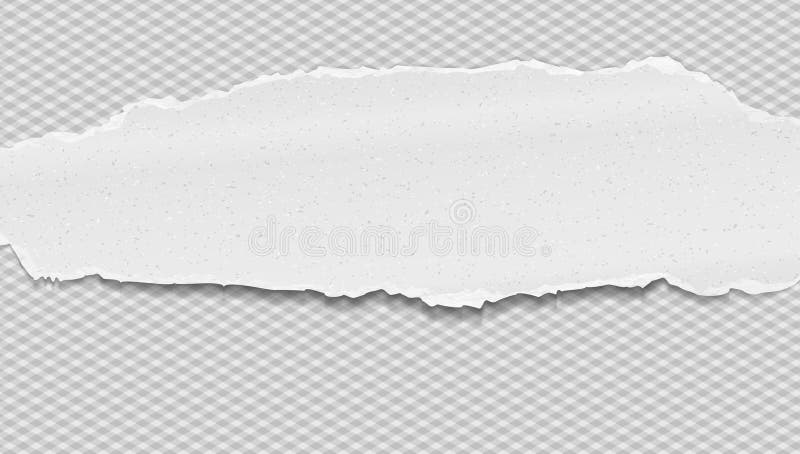 Horizontal Grainy Paper Strip Stock Illustrations – 48 Horizontal ...