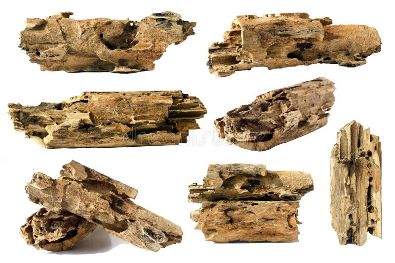 Piece of tree trunk stock image. Image of rough, dirty - 87921883