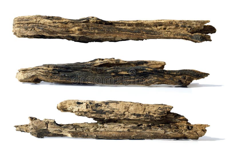 Piece of tree trunk stock image. Image of wood, piece - 87497643