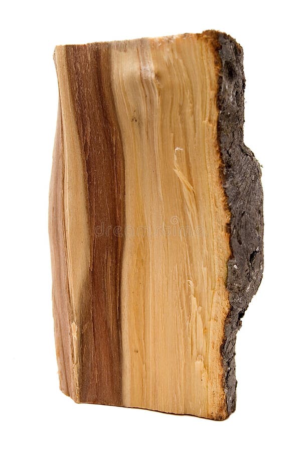 Piece of Tree Bark stock photo. Image of layer, white - 9974354