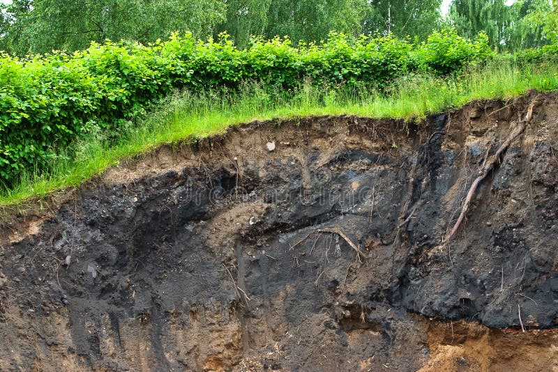 Piece of turf stock photo. Image of surface, fresh, pasture - 10020336