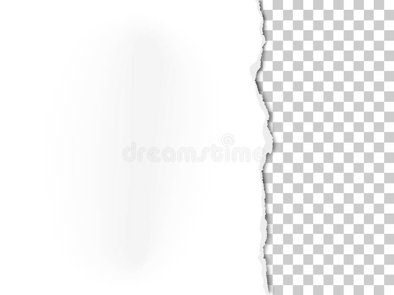 Torn Paper Side Stock Illustrations – 308 Torn Paper Side Stock ...