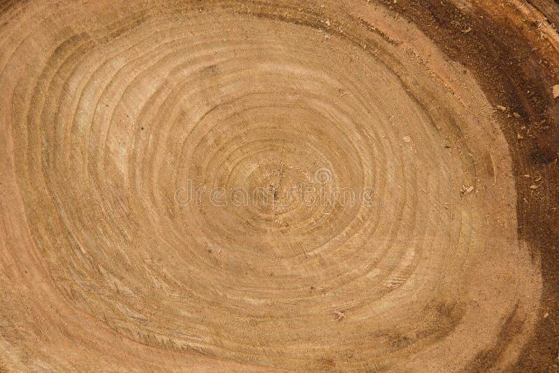 A Piece of Wood the Natural Wood Background, Wooden Stock Image - Image ...