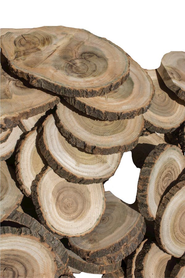 Piece of Wood Stump Isolated on Background. Round Wood Stump Stock ...
