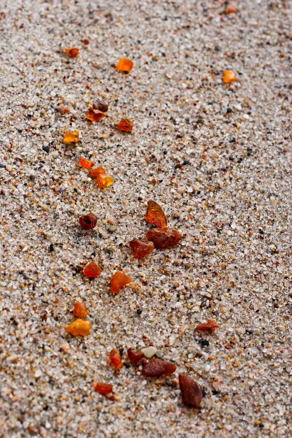 Pieces of Amber on the Sand Stock Image - Image of baltic, expensive ...