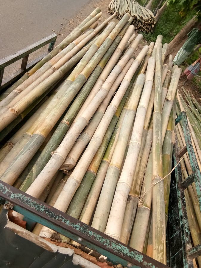 Pieces of Bamboo To Make Buildings Stock Image - Image of buildings ...