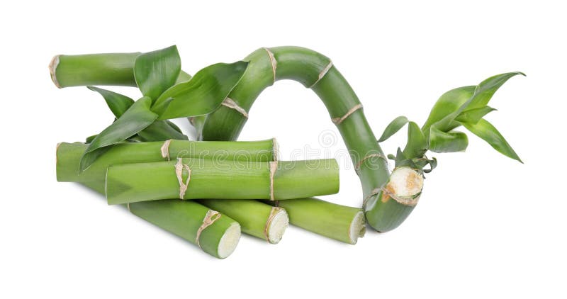 Pieces of Beautiful Green Bamboo Stems on White Background Stock Image ...