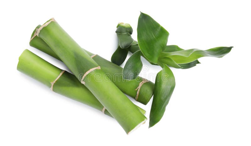 Pieces of Beautiful Green Bamboo Stems on White Background, Top View ...