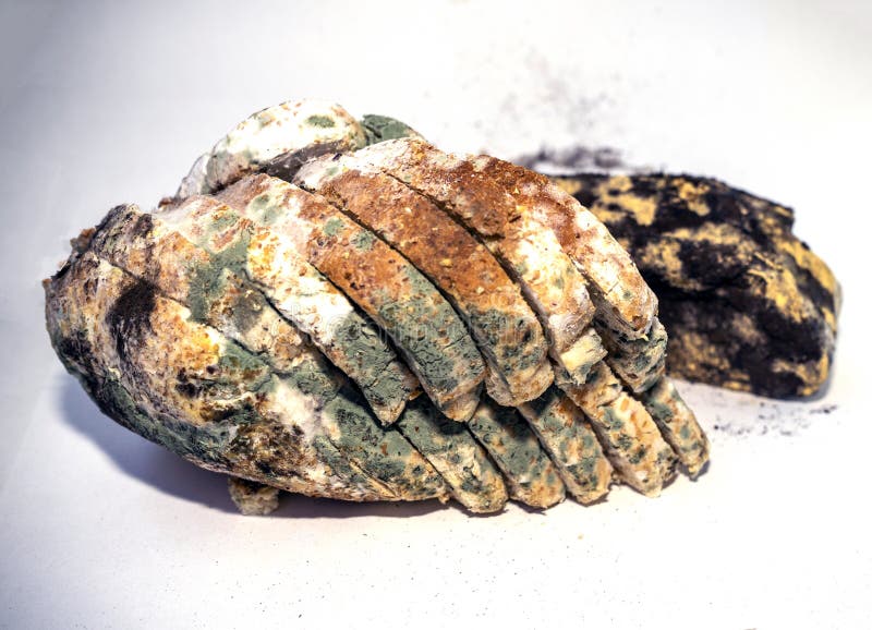 Pieces of Bread Covered with Black Mold and Spores Stock Image - Image ...