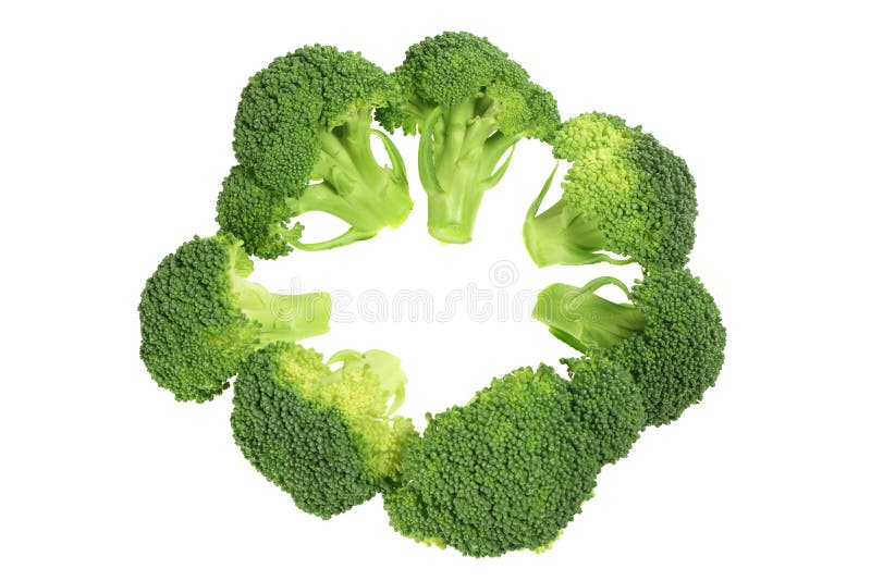 Pieces of Broccoli stock image. Image of produce, food - 19471155