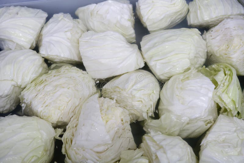 A Pieces of Cabbage during Soaking Process Stock Photo - Image of salad ...