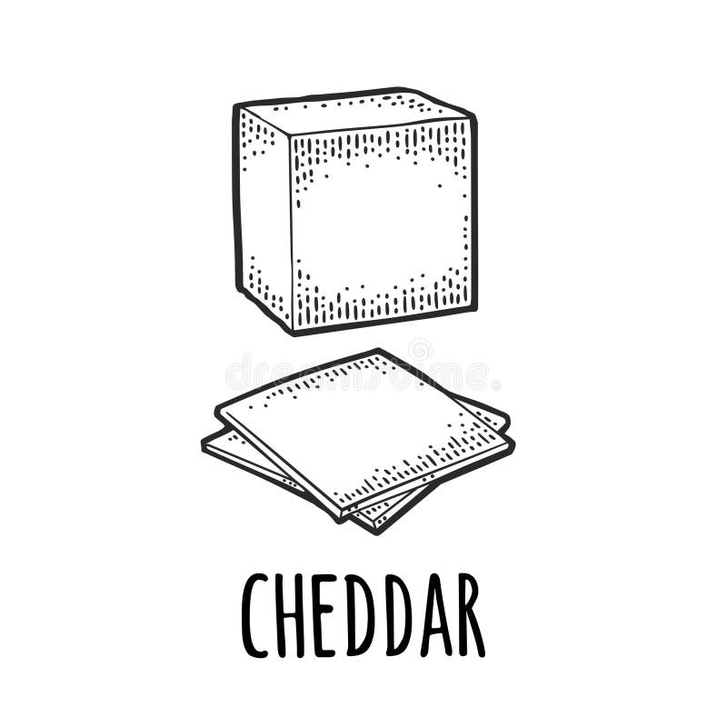 Pieces of Cheese Cheddar. Vector Vintage Engraving Illustration ...