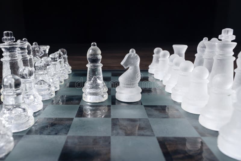 Pieces of Chess on a Chess Board. Knight and Bishop Stock Image - Image ...