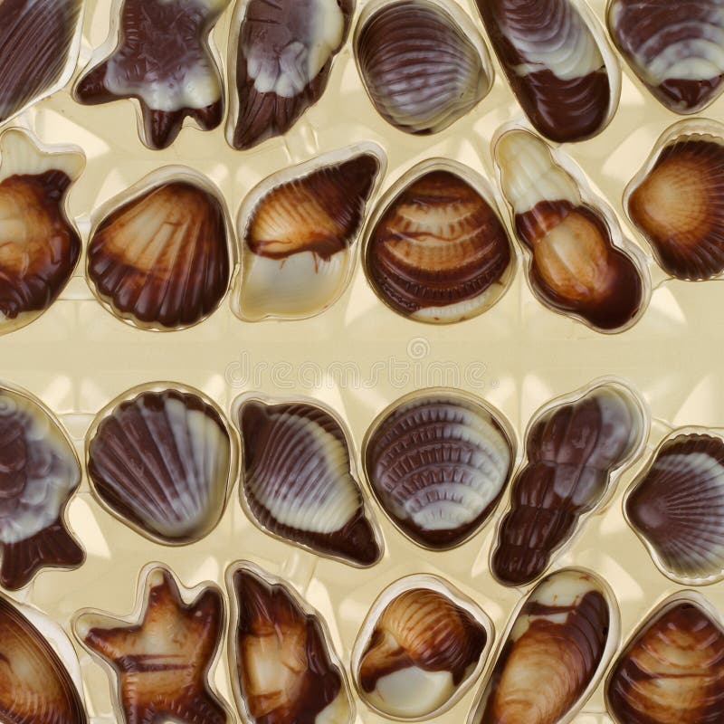 Mixed Pieces of Chocolate Seashell Candies Stock Image - Image of ...