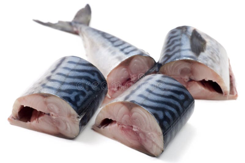 Pieces of chopped mackerel stock photo. Image of seafood - 19541786