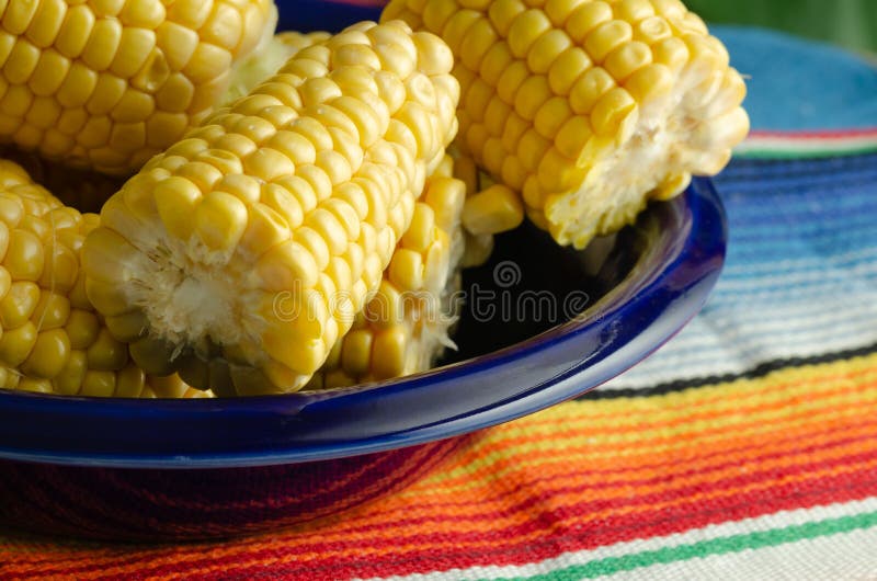 Pieces of Corn Cob. Corncob Cut in Pieces Stock Image - Image of ...