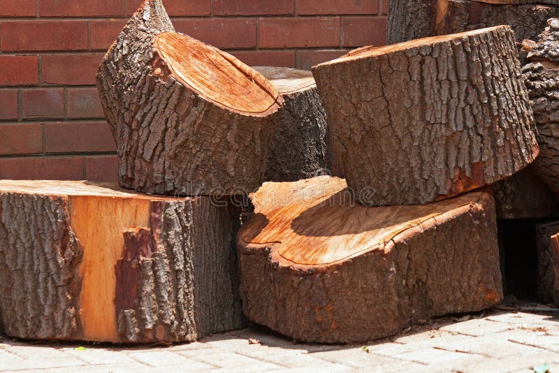 PIECES of CUT LOG stock image. Image of grain, deadwood - 91404633