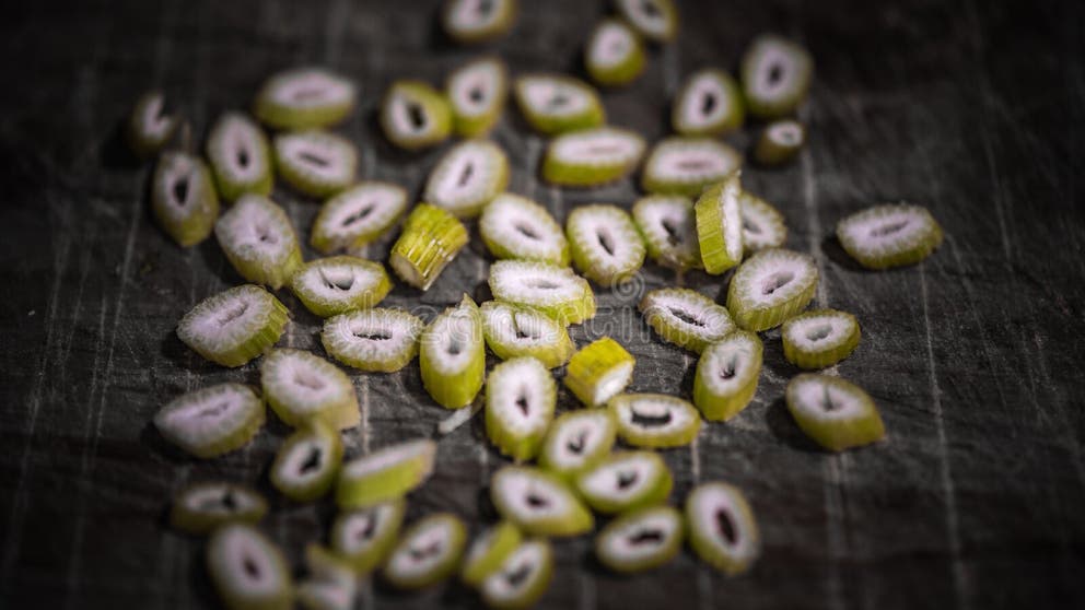 Pieces of Cut Stem with an Empty Space Inside - Perfect for Background ...