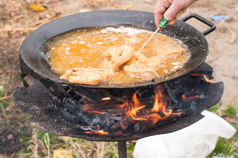 Pieces of Fish Baked on Hot Fire.Healthy Food Stock Image - Image of ...