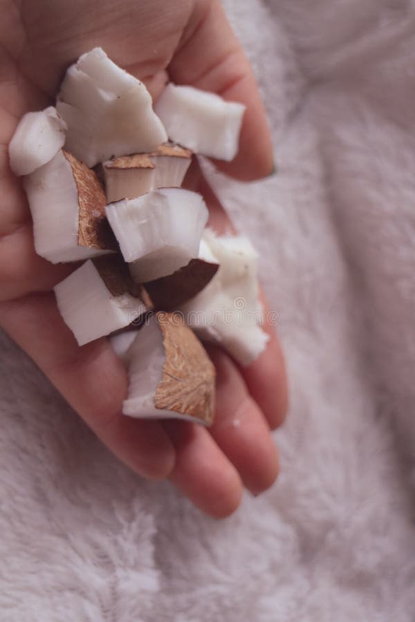 Pieces of Fresh Coconut in Hand,fresh,organic Stock Image - Image of ...