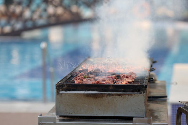 Pieces of Fresh Meat are Baked on Wire Rack Closeup Stock Image - Image ...