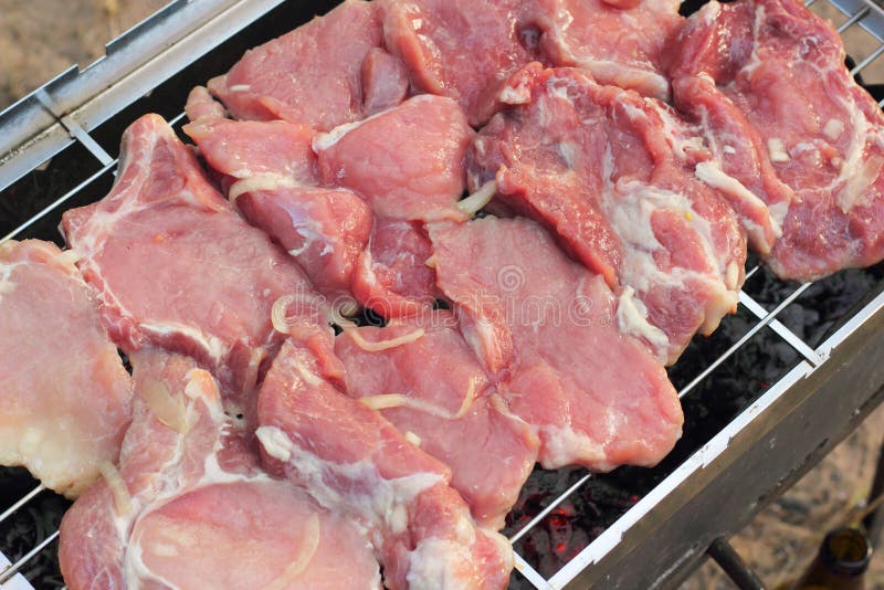Pieces of Fresh Meat on the Grating Grill Stock Photo - Image of pieces ...