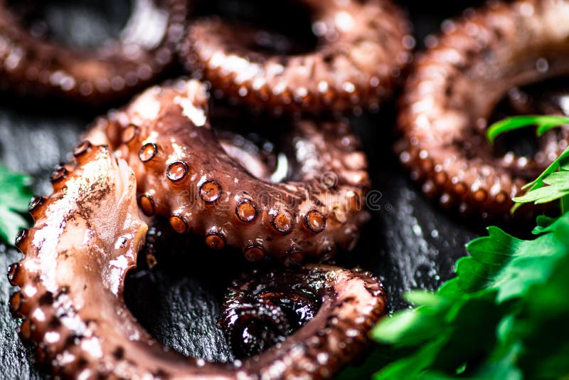 Pieces of Fresh Octopus on a Stone Board with Greenery. Stock Image ...