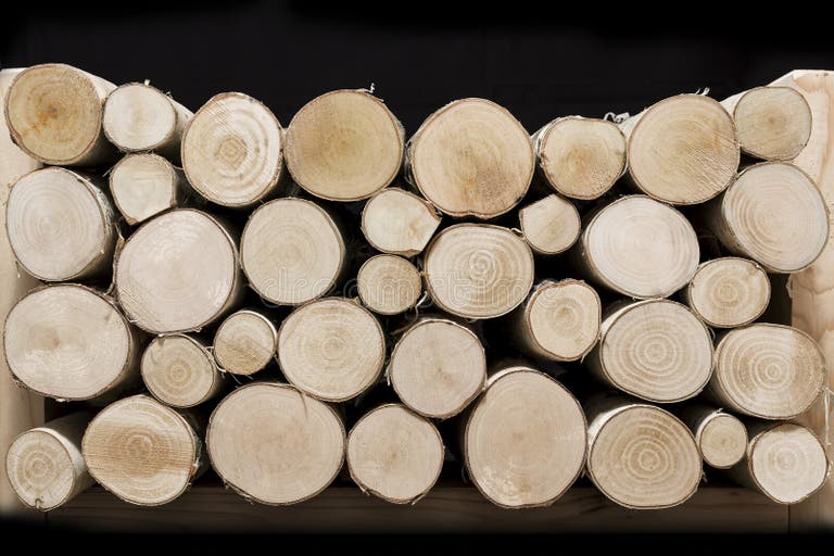 Pieces of Freshly Cut Birch Wood Stock Photo - Image of birch, trunk ...