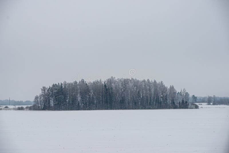 Pieces of Frozen Ice in the Lake in Dim Winter Day Stock Photo - Image ...
