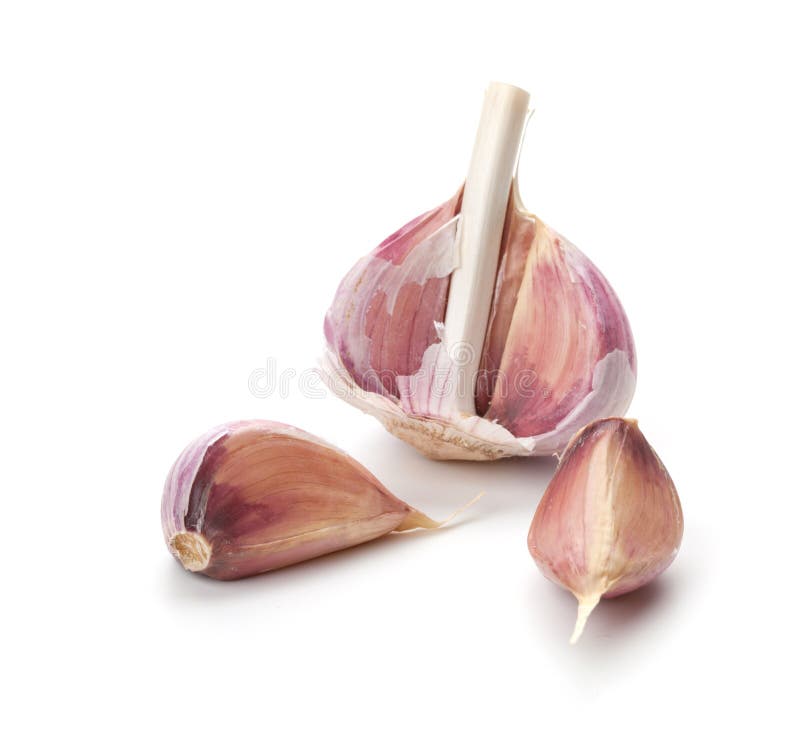 Pieces of garlic stock photo. Image of culture, macro - 17116036