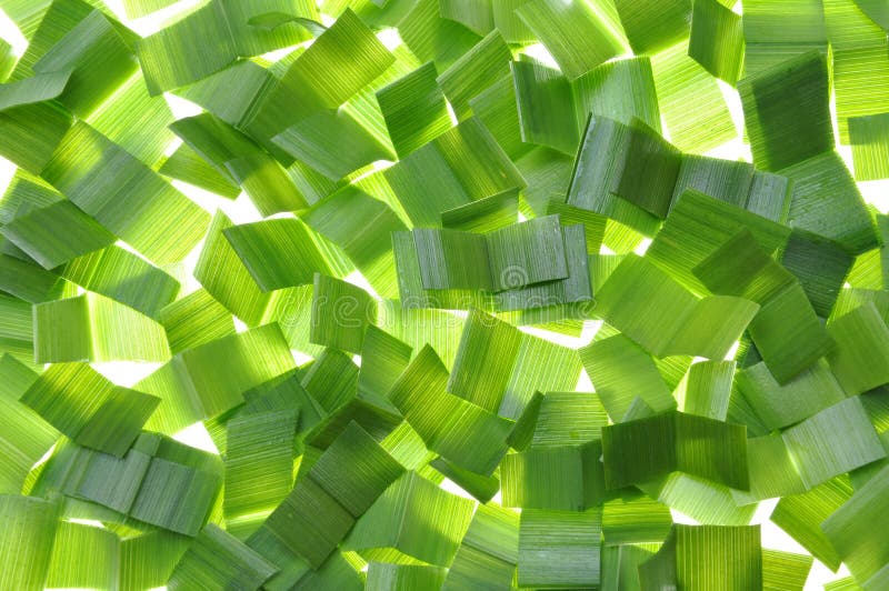 Pieces of green leaves stock image. Image of pattern - 40656735
